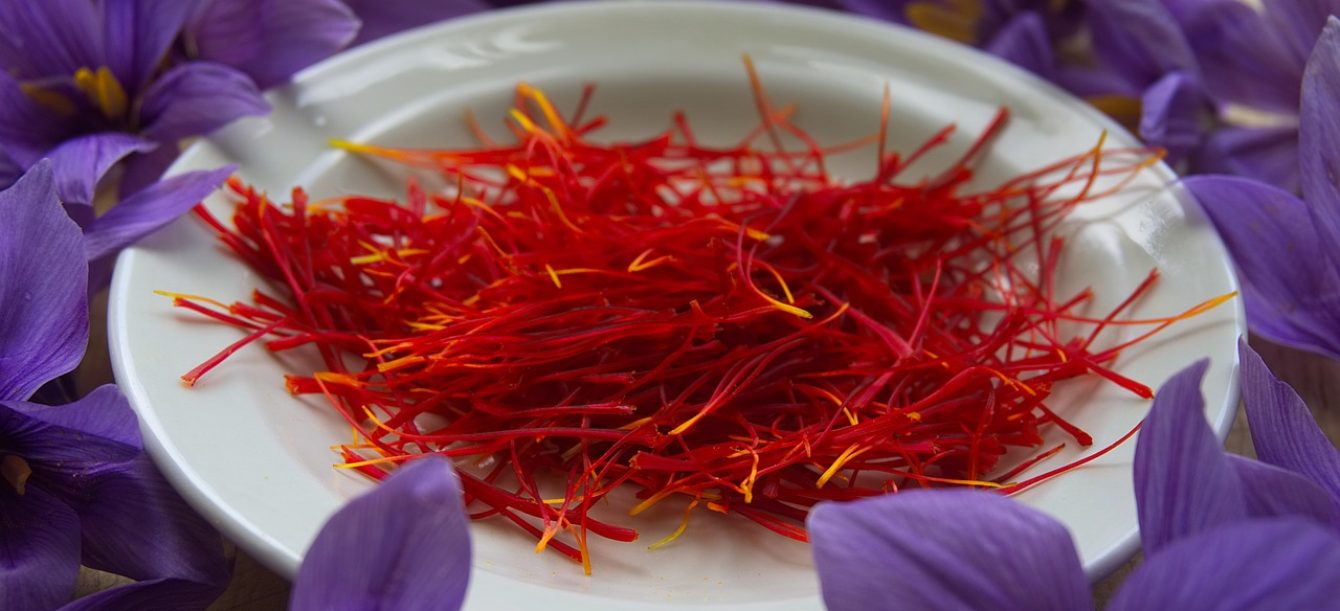 U and Your Food - A Taste of International Gourmet Food